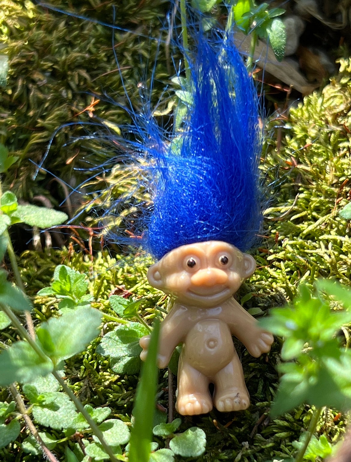 troll toy
